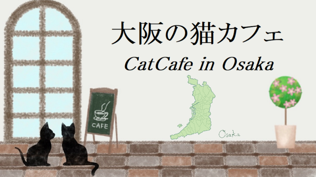 Cat Cafe (Osaka) | Nekospot.com