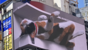 Cross Shinjuku Vision "Cats at Shinjuku East Exit" (Shinjuku, Tokyo) | Nekospot.com