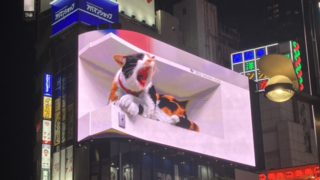 Cross Shinjuku Vision "Cats at Shinjuku East Exit" (Shinjuku, Tokyo) | Nekospot.com