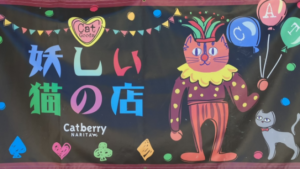 妖しい猫の店/Cat Berry成田 (千葉・成田) | ねこスポット.com