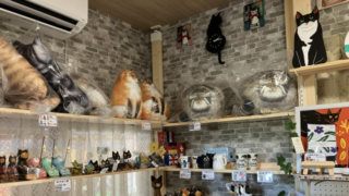 妖しい猫の店/Cat Berry成田 (千葉・成田) | ねこスポット.com